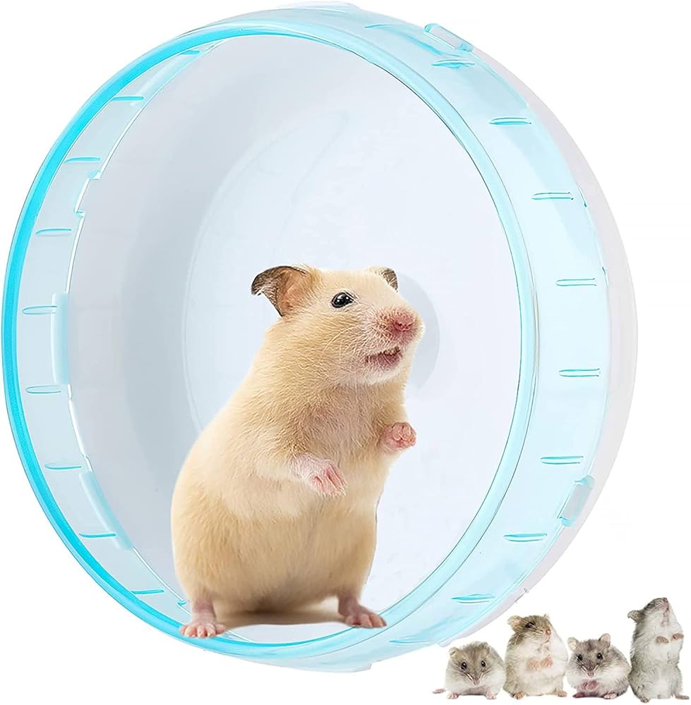 Hamster Exercise Wheel – Dynamic Vault LLC
